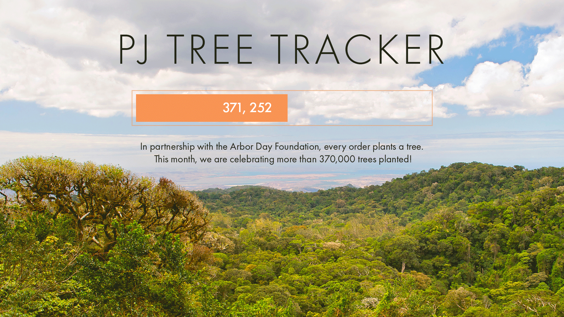 Arbor Day: Our 2024 Tree Planting Plans