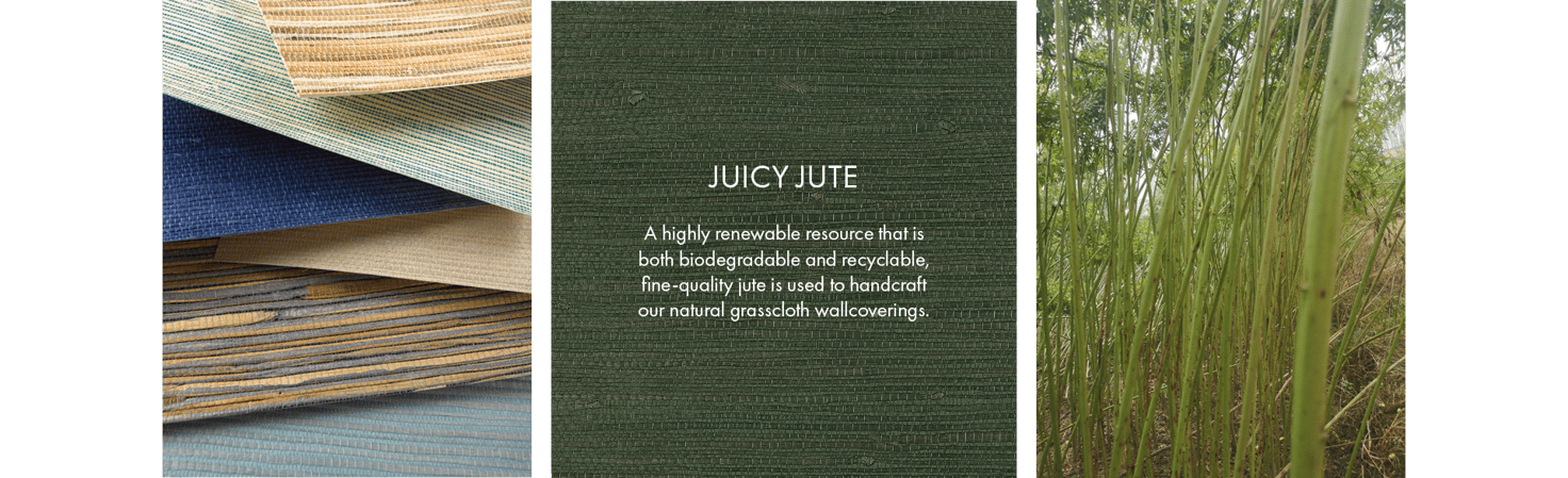 The PJ Earth Day Guide | Living Greener Beautifully