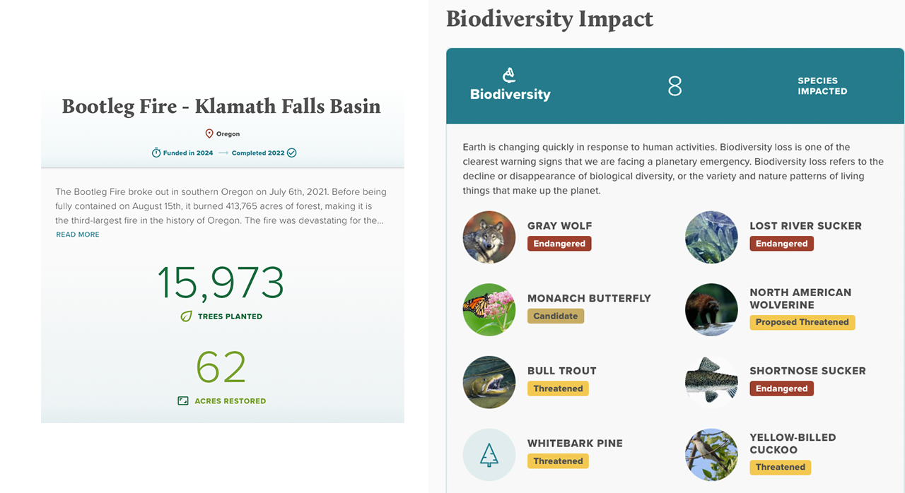 PJ Tree-Planting Update In Oregon