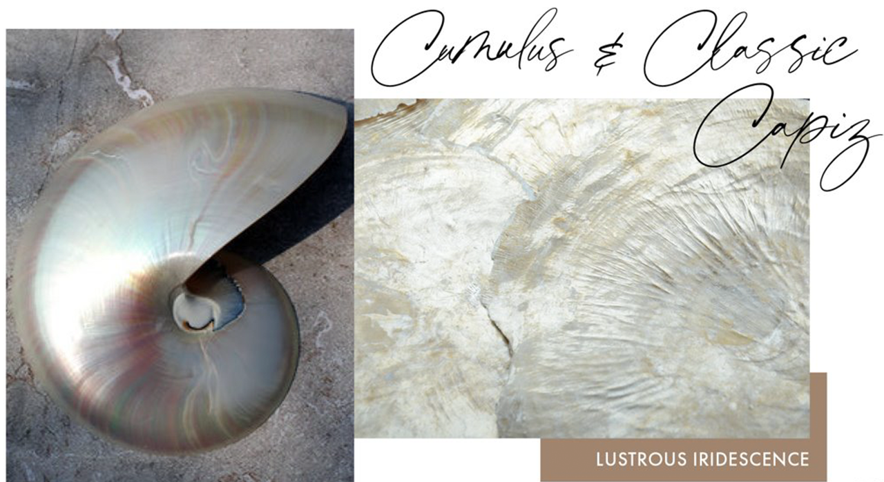 Your Guide to Capiz Shell Wallcovering