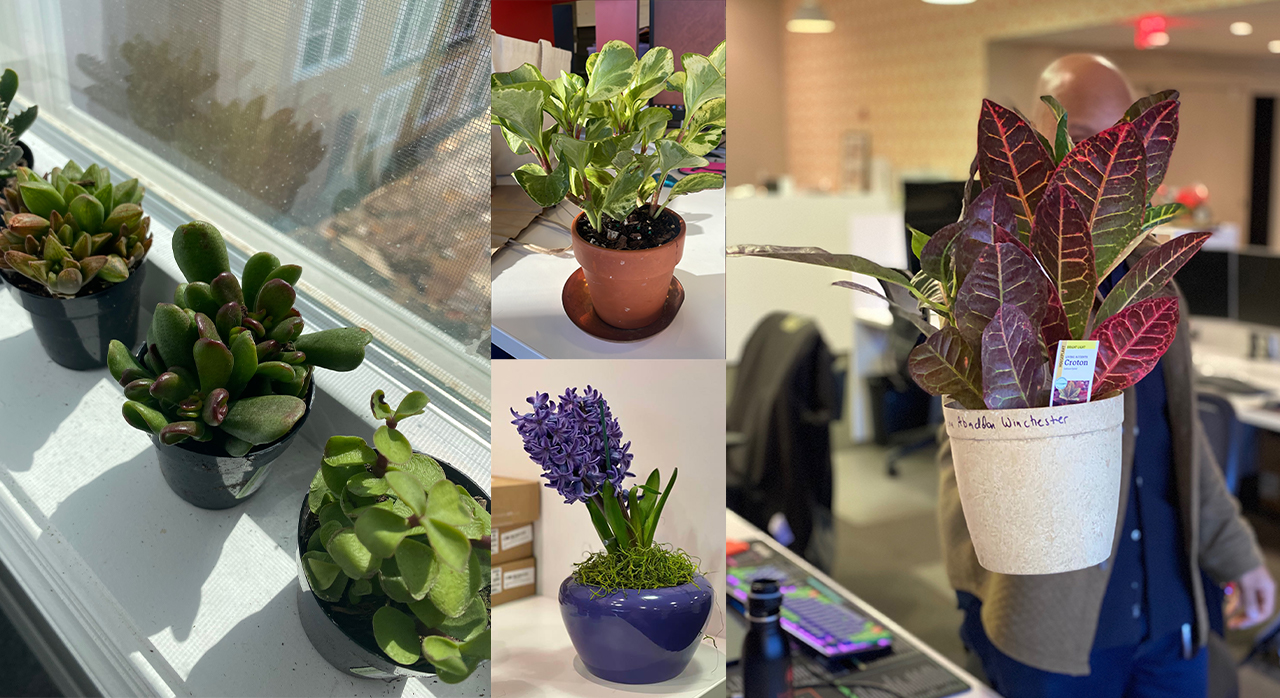 Earth Month Kicks Off With A PJ Plant Swap