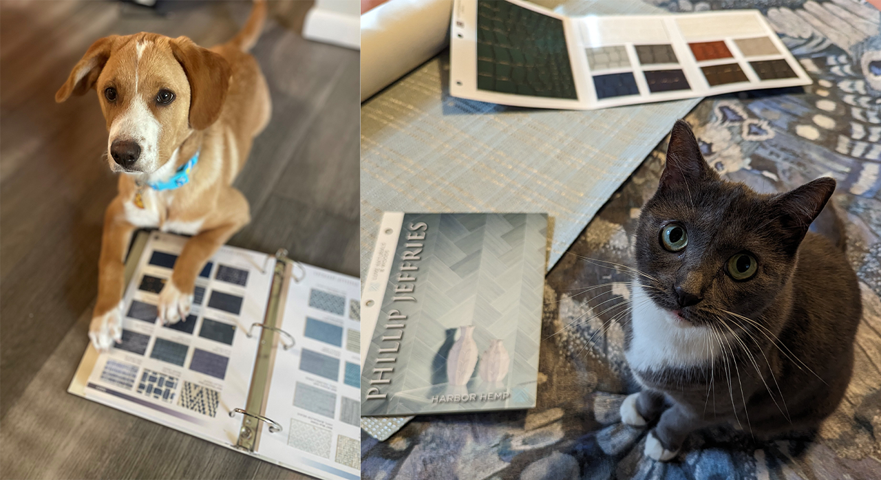 Our Employees Share Their PJ Pets